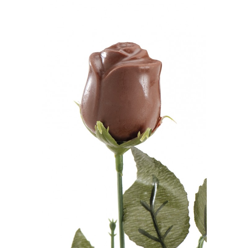 Rosa De Chocolate 20 Grs